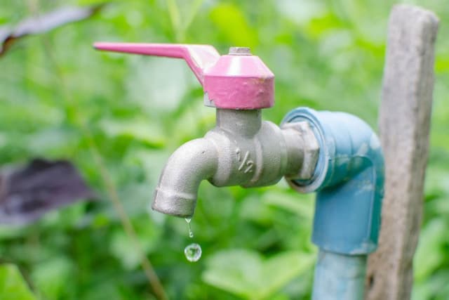 Top Tips For Saving Water Around The House